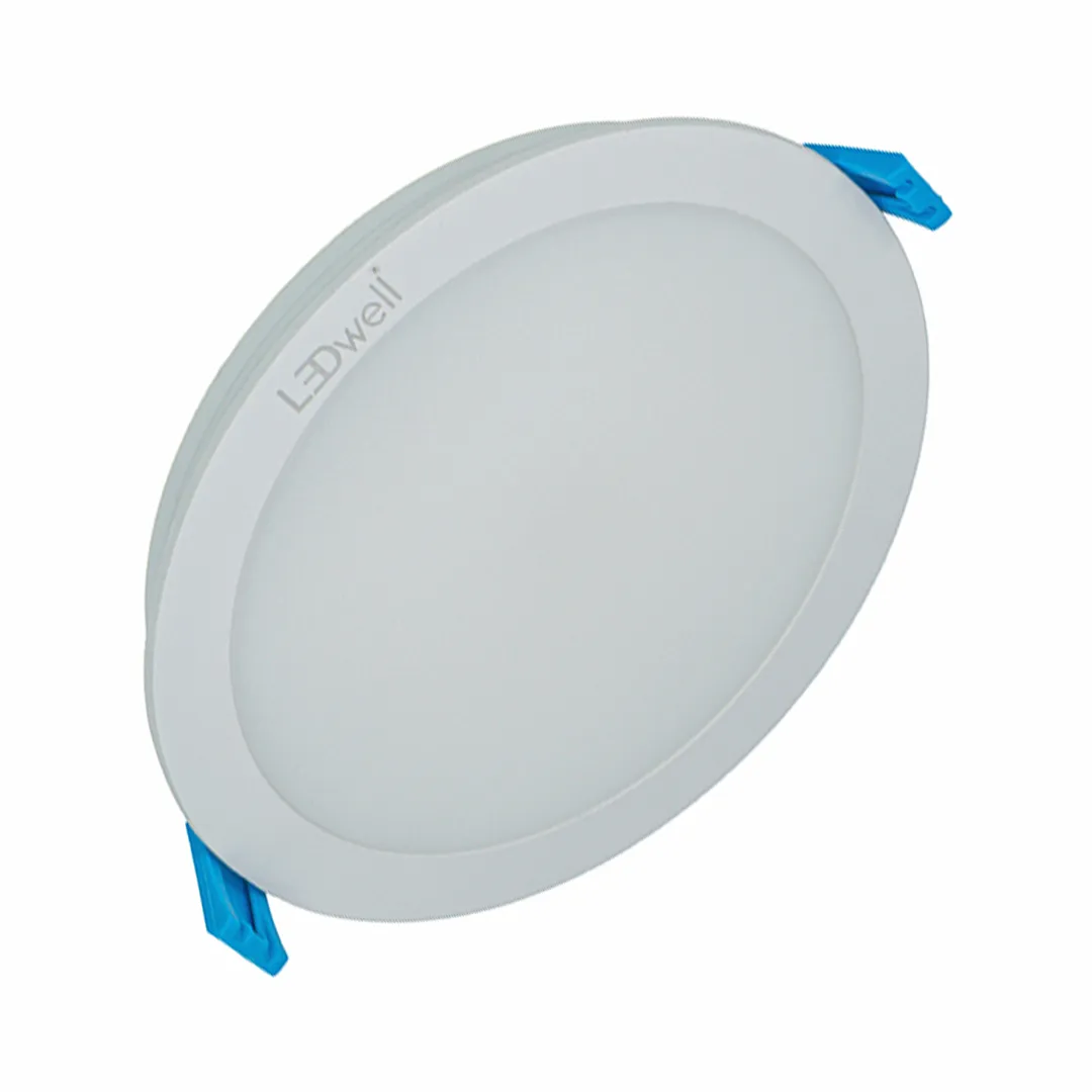 BACK LIGHTS - Ledwell